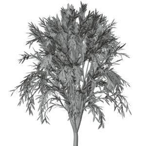 [Blender 2.8] 木のモデルをお手軽作成 [Sapling Tree Gen] - ほろほろりドットコム