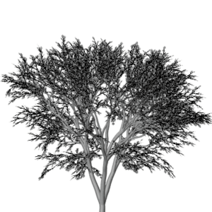 [Blender 2.8] 木のモデルをお手軽作成 [Sapling Tree Gen] - ほろほろりドットコム