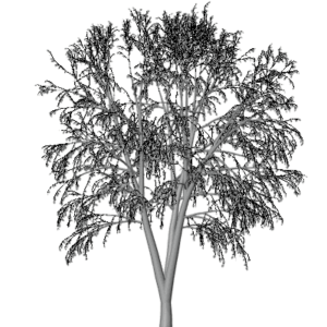 [Blender 2.8] 木のモデルをお手軽作成 [Sapling Tree Gen] - ほろほろりドットコム